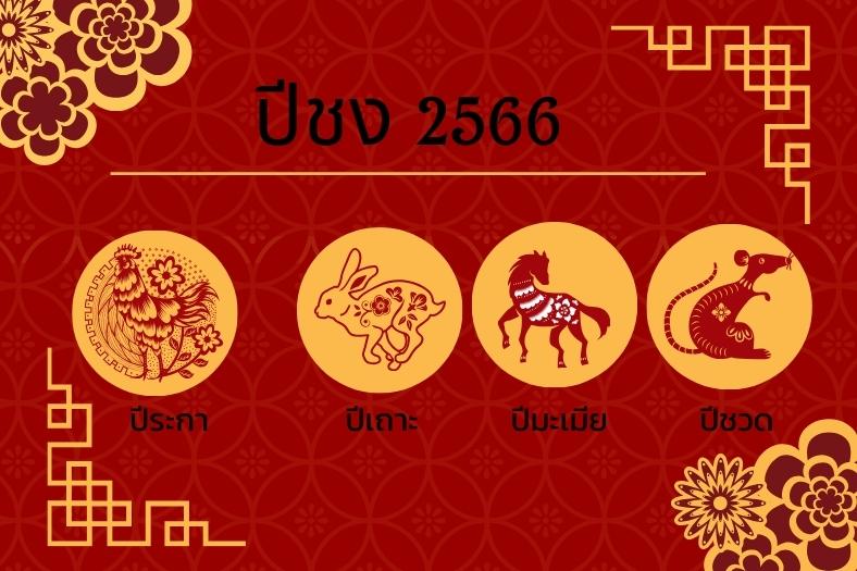 ปีชง 2566 สิ้นสุดกุมภาพันธ์ 2567 เช็คปีชงมีปีอะไรบ้าง โค้งสุดท้าย | ENNXO