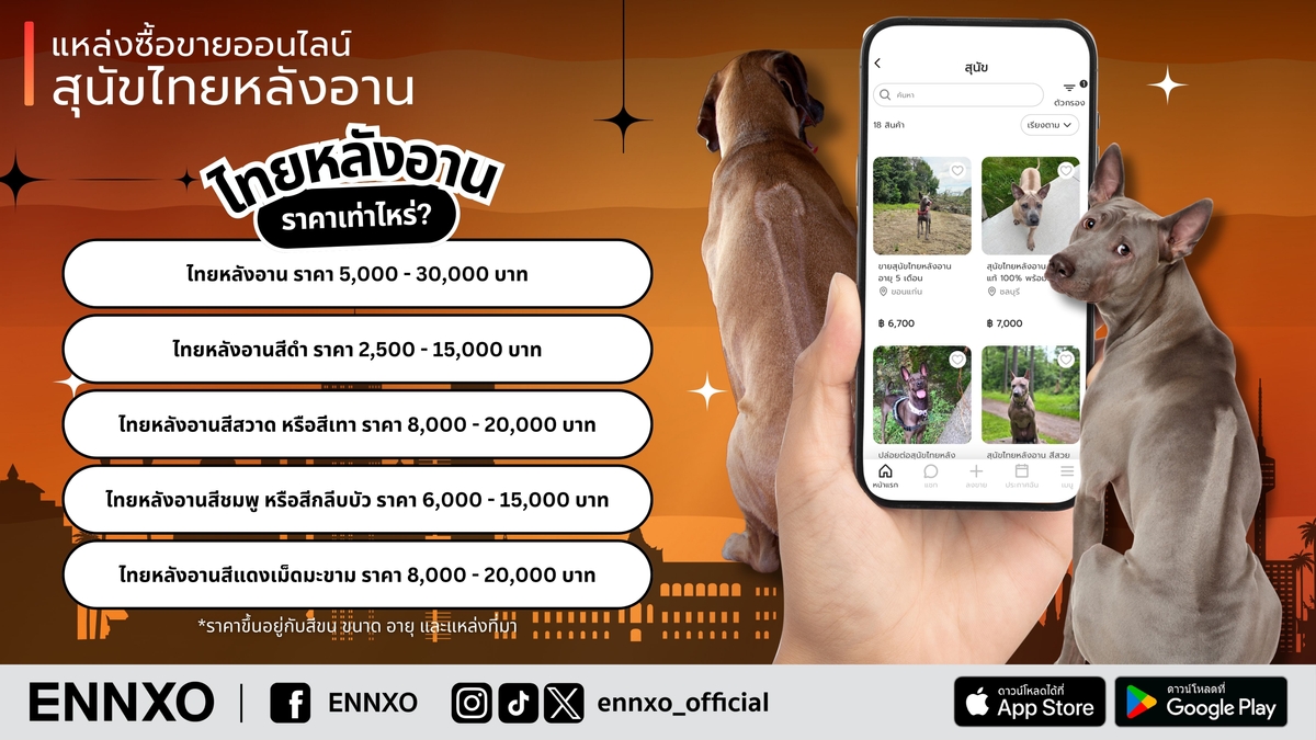 ซื้อ ขาย สุนัข ไทยหลังอาน ราคาถูก ลูกหมา Ridgeback ทุกสี | ENNXO