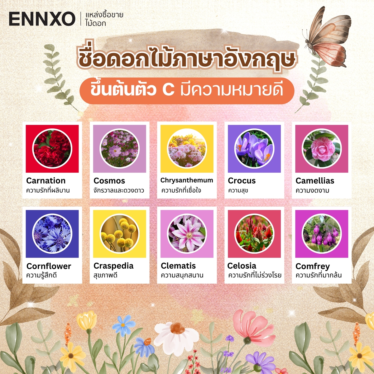 161 ชื่อดอกไม้ภาษาอังกฤษ เพราะๆ พร้อมความหมายดี เหมาะกับการตั้งชื่อ | ENNXO