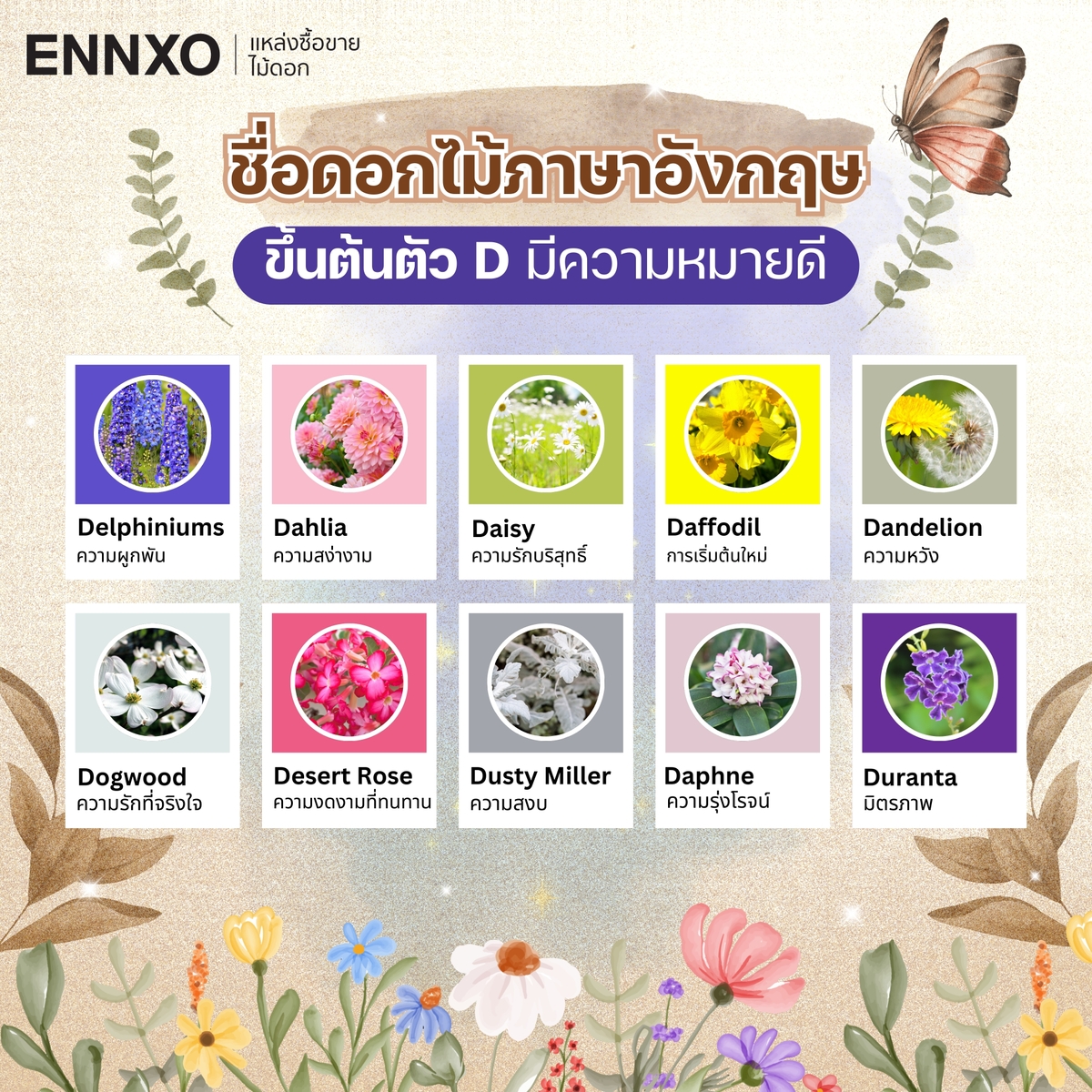 161 ชื่อดอกไม้ภาษาอังกฤษ เพราะๆ พร้อมความหมายดี เหมาะกับการตั้งชื่อ | ENNXO