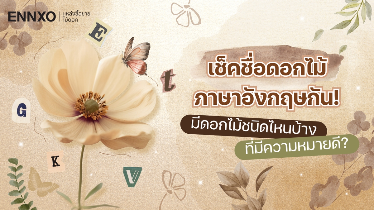 161 ชื่อดอกไม้ภาษาอังกฤษ เพราะๆ พร้อมความหมายดี เหมาะกับการตั้งชื่อ | ENNXO