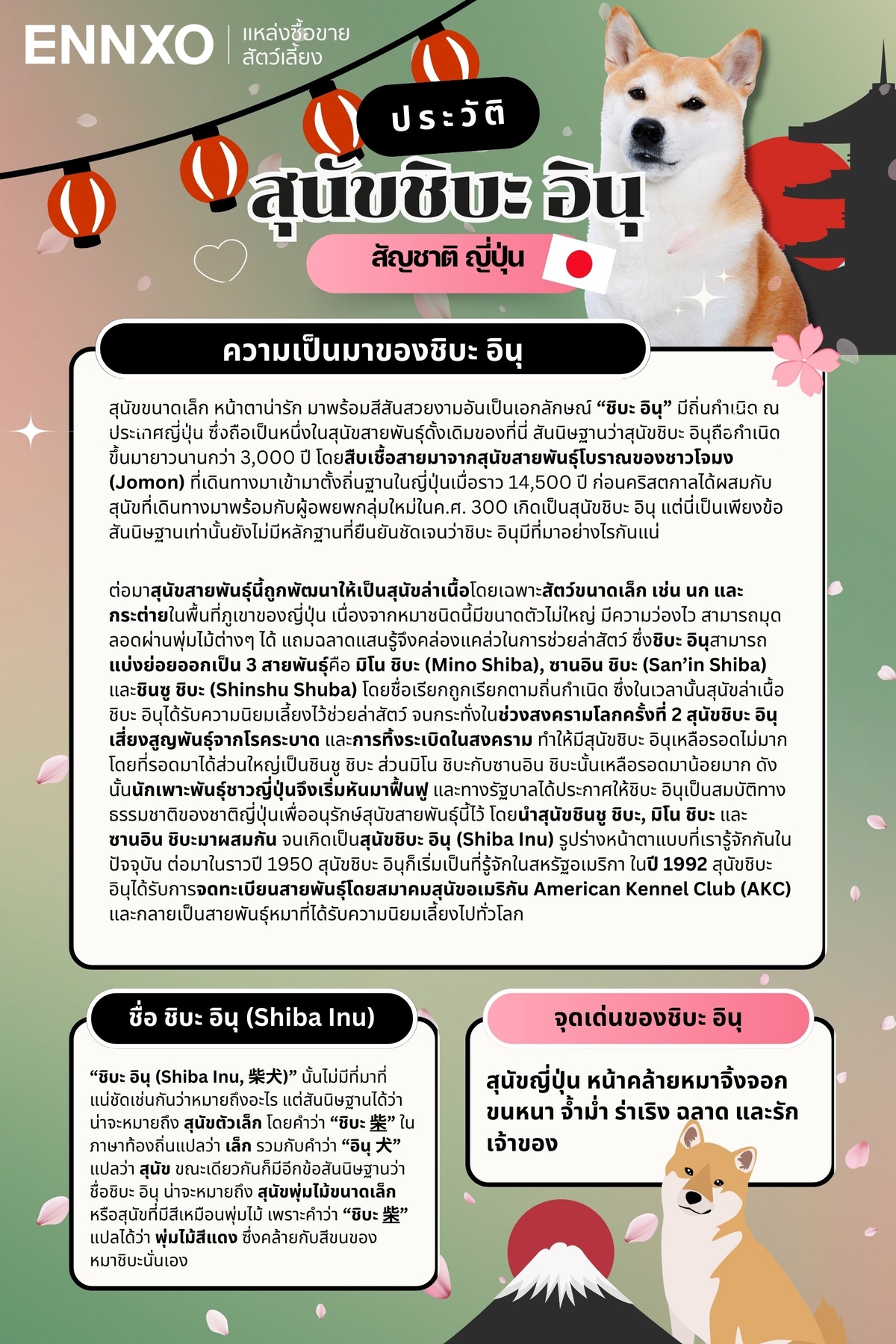 ชิบะ อินุ (Shiba Inu) สุนัขญี่ปุ่นสุดน่ารัก ลักษณะ และนิสัย | ENNXO