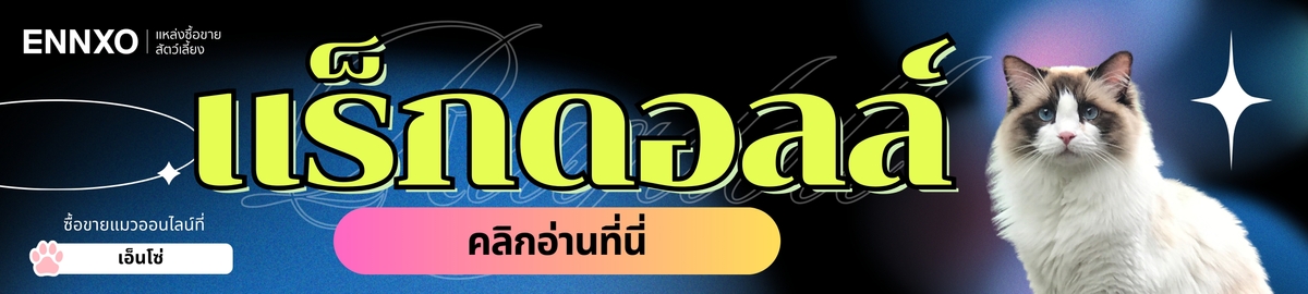 รวมสายพันธุ์แมวต่างๆ ทั่วโลก เจาะลึกพันธุ์แมวน่าเลี้ยงทั้งหมด | ENNXO