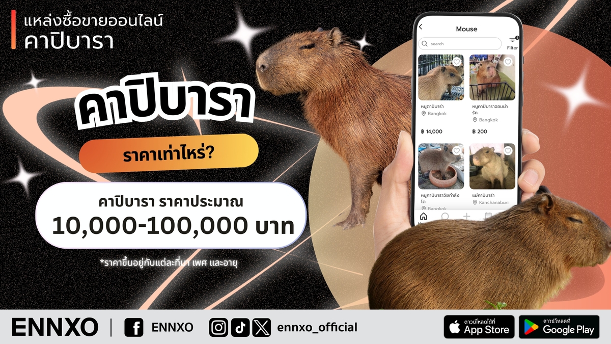 ซื้อ ขาย หนู คาปิบารา ราคาถูก ฟาร์ม Capybara | ENNXO