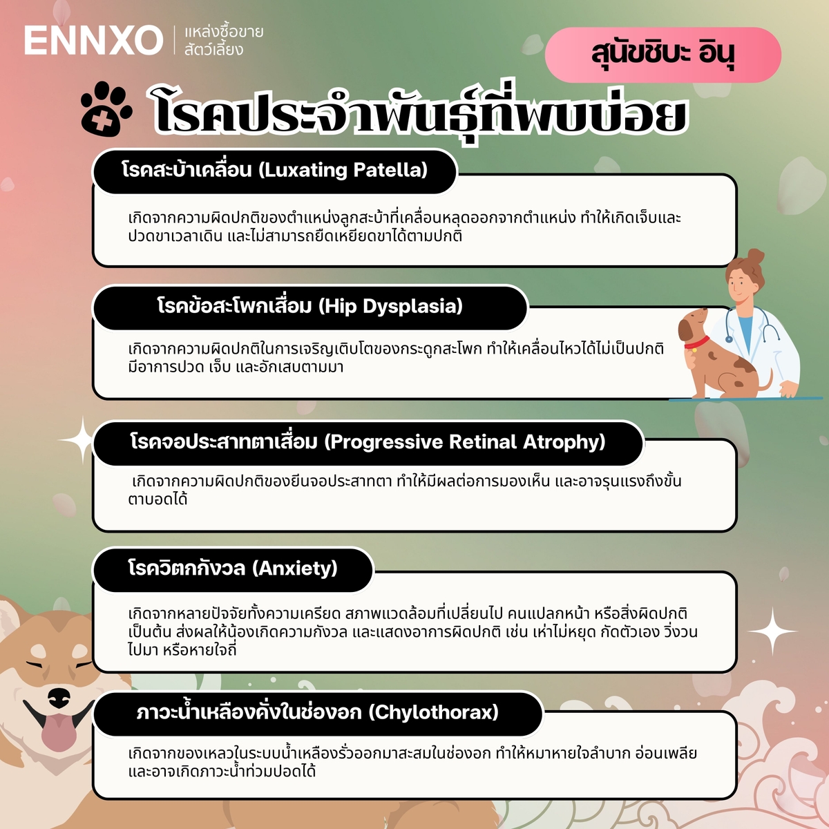 ชิบะ อินุ (Shiba Inu) สุนัขญี่ปุ่นสุดน่ารัก ลักษณะ และนิสัย | ENNXO