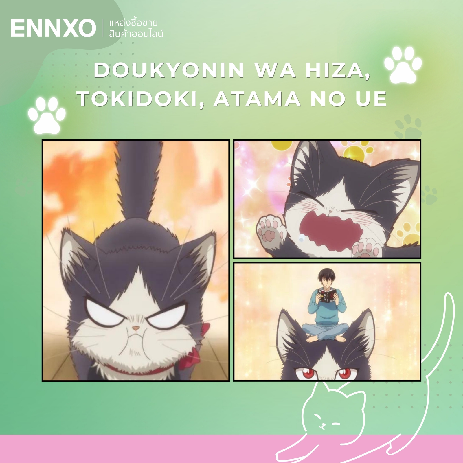 แนะนำ 11 อนิเมะแมว ที่ชวนคุณสนุกไปกับเจ้าเหมียวของญี่ปุ่น เหล่าทาสแมว ...