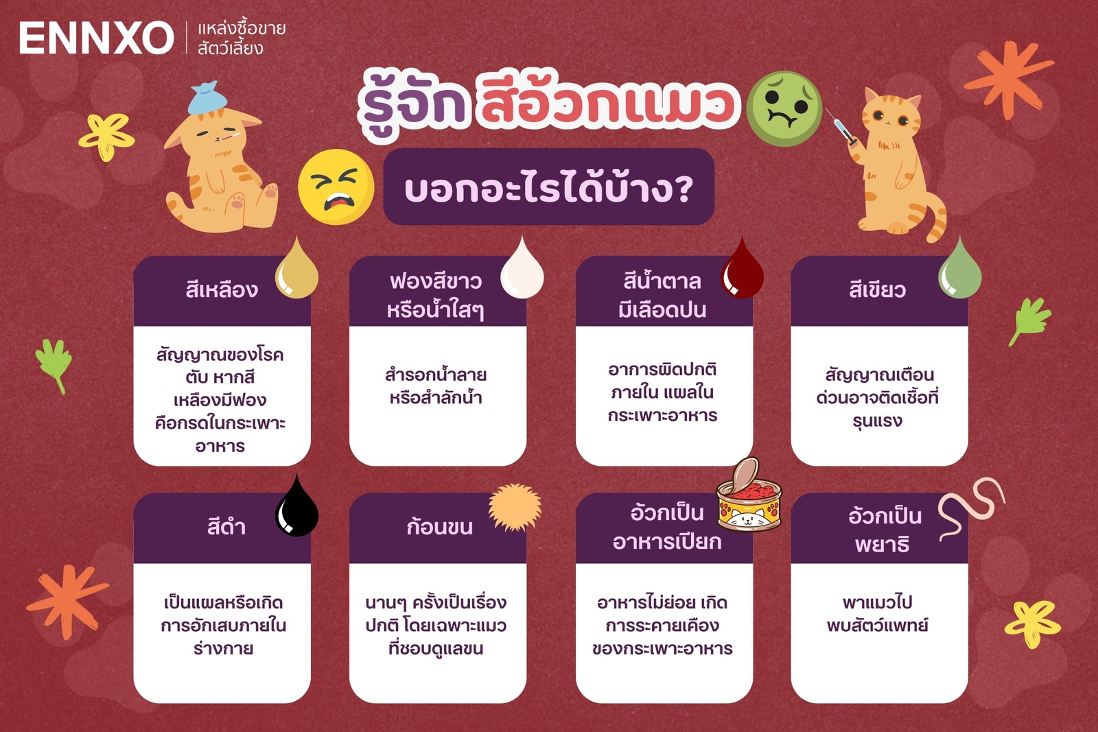 แมวอ้วกเกิดจากสาเหตุไหนบ้าง อ้วกแมวแบบไหนสีอะไรถึงอันตราย | ENNXO