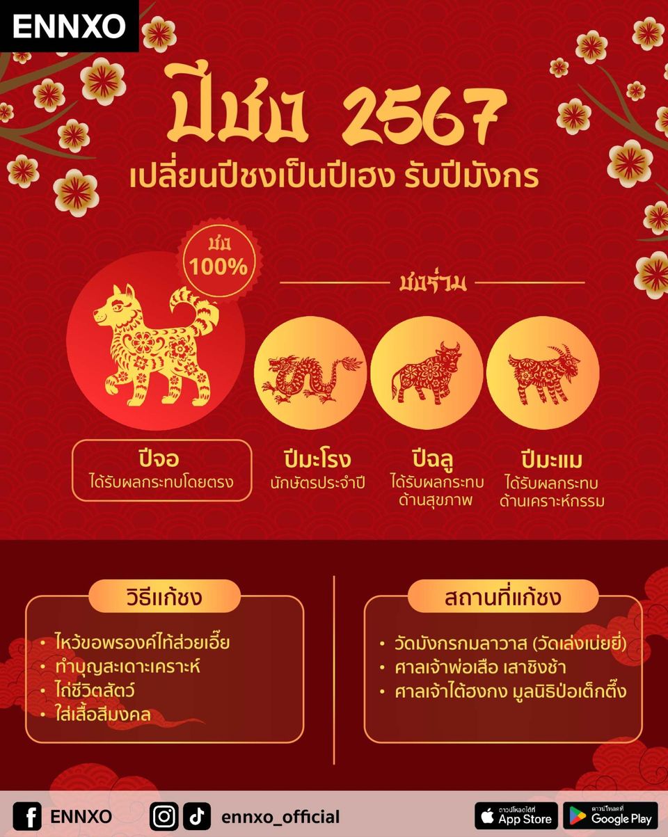 ปีชง 2567 ปีนักษัตรอะไรบ้าง วิธีแก้ชง เสริมดวงรับปีมังกรทอง | ENNXO