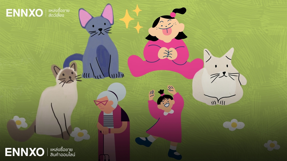 อายุแมวดูยังไง? วิธีดูอายุแมวง่ายๆ เคล็ดลับที่นุดทาสแมวต้องรู้ | ENNXO