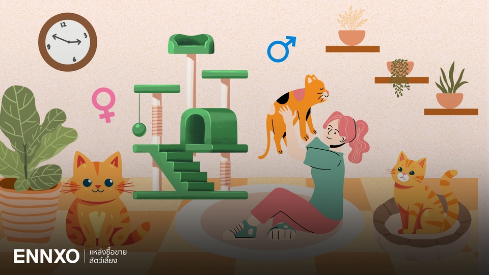 ตั้งชื่อแมวส้มเท่ๆ น่ารัก ความหมายดี ทั้งชื่อแมวส้มตัวผู้ ตัวเมีย | ENNXO
