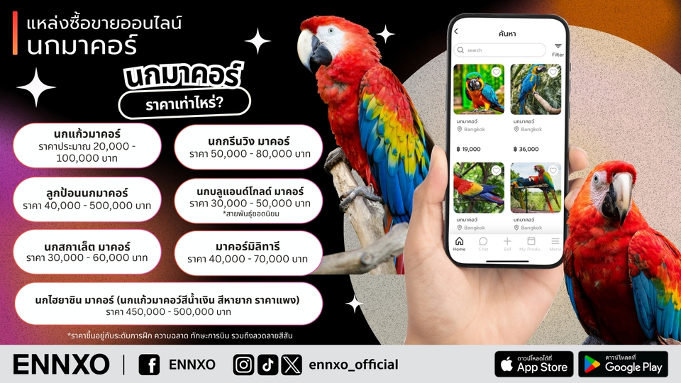 ซื้อ ขาย นก มาคอร์ ราคาถูก ลูกป้อนนก Macaw ทุกสี | ENNXO