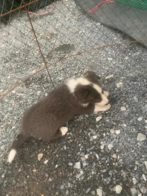 ผมไม่ซนครับพี่ๆ | ENNXO