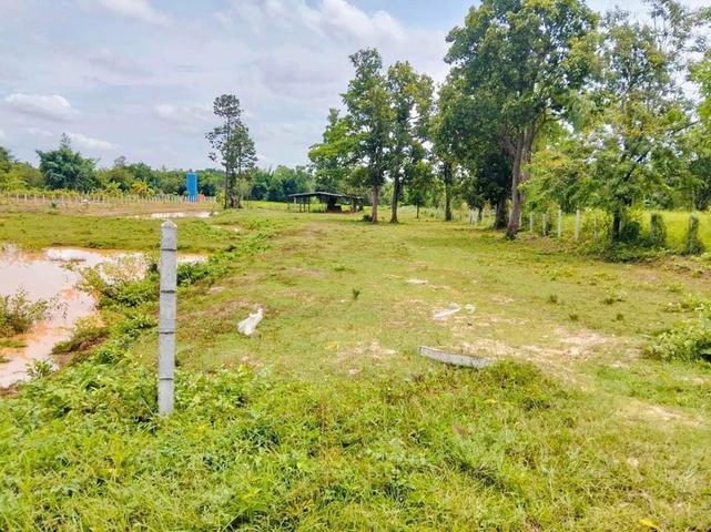 ที่ดิน | ENNXO