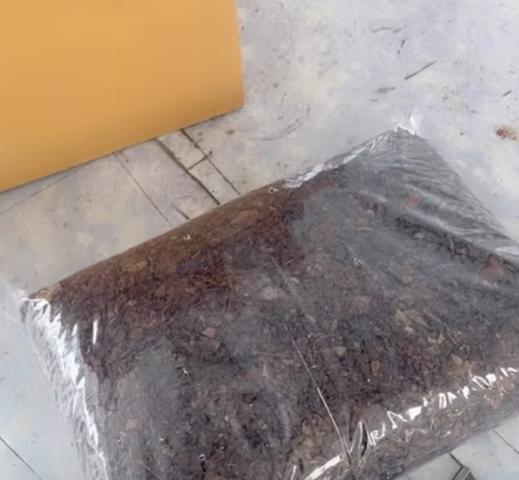 ใบก้ามปูหมักด้วยวิธีธรรมชาติ ถุงละ 1 Kg. | ENNXO