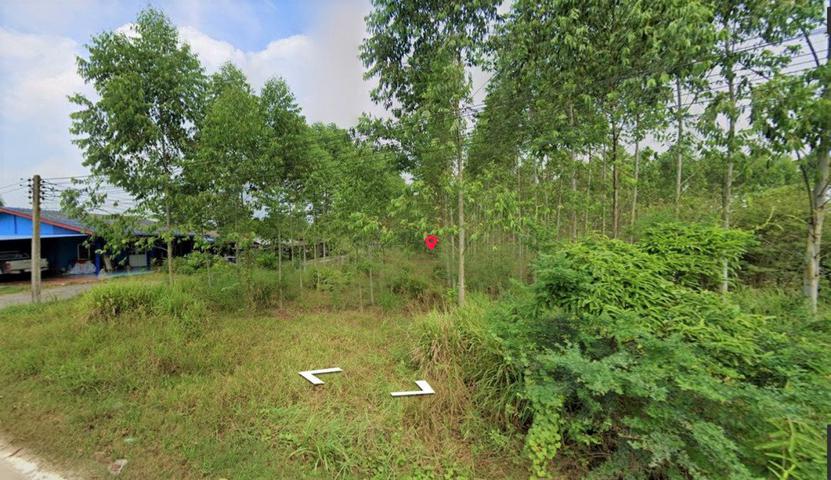 ขาย ที่ดิน ME282 ทำเลดี ไฟ 3 เฟส ปะปา หนองบอนแดง บ้านบึง ชลบุรี . 4 ไร่ ...