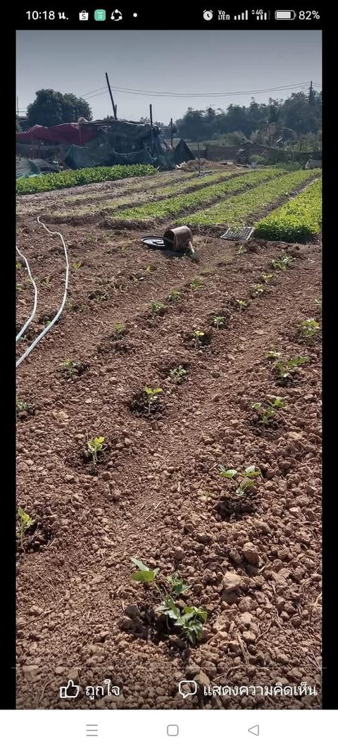 ทีดินถมแล้ว | ENNXO