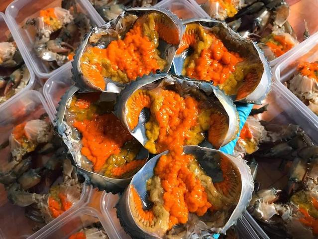 ปูทะเลไข่วังตัวใหญ่ๆ | ENNXO