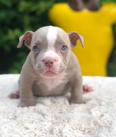 บูลลี่ แท้แน่นอน | ENNXO