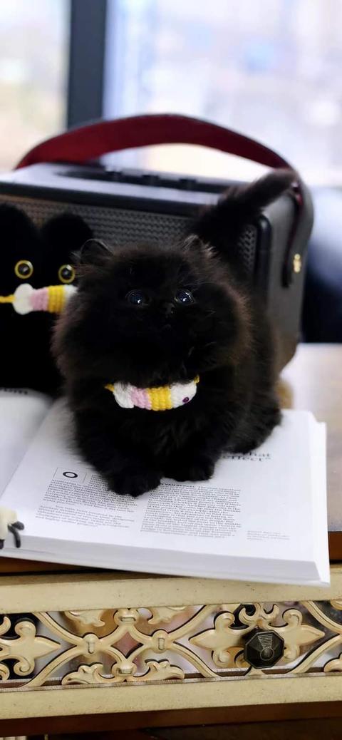 มันส์กิ้นสีดำ | ENNXO