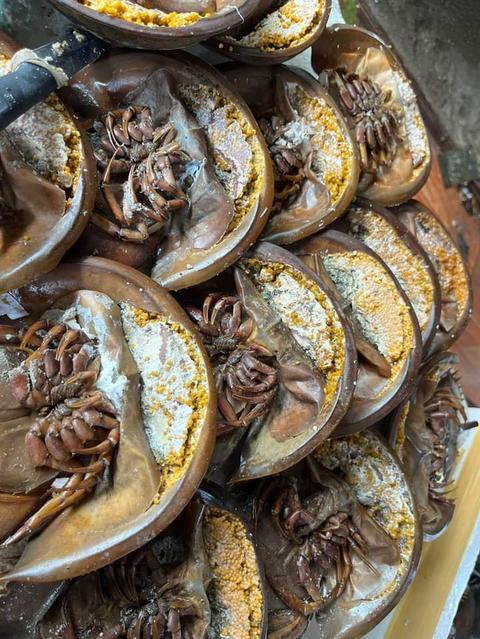 ไข่แมงดาทะเล จัดส่งทั่วประเทศ | ENNXO