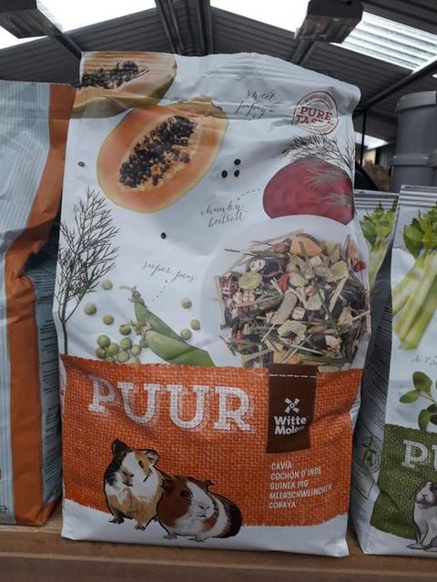 Puur Guinea Pigs | ENNXO
