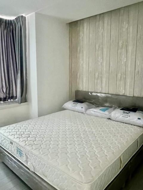 ให้เช่า T.C. Green | ENNXO