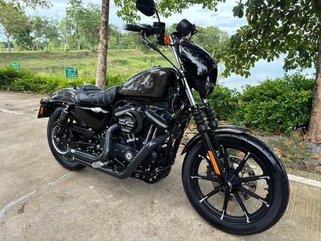Harley Davidson Iron ปล่อยขายถูก | ENNXO