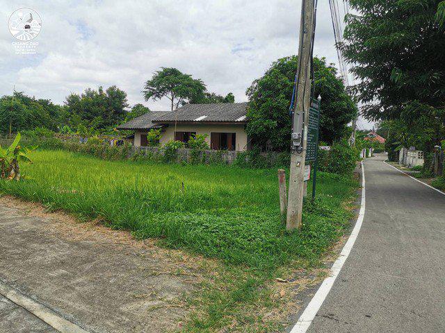 ขายที่ดินแปลงเล็ก 119 ตรว. ต.เชิงดอย ดอยสะเก็ด เชียงใหม่ ที่ดินสี่เหลี่ยมขนาด 13 x 41 เมตร มีถนน ...