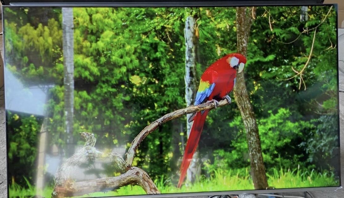 TV 65 นิ้ว | ENNXO