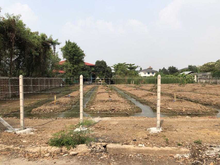 ขายที่ดินเปล่า ใกล้พุทธมณฑลสาย 2 เจ้าของขายเอง | ENNXO