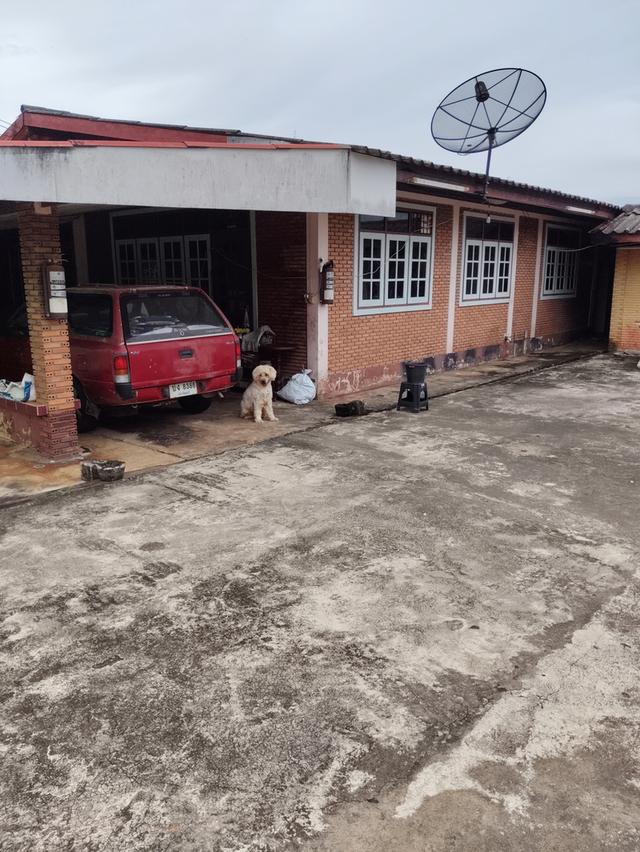 ที่ดิน | ENNXO