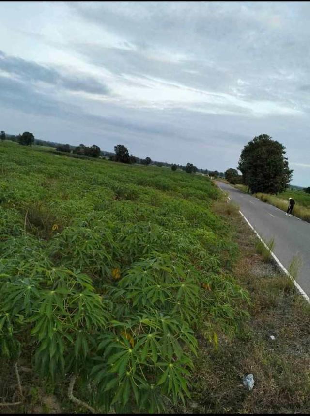 ขายที่ดิน 89 ไร่ ไร่ละ 170,000 | ENNXO