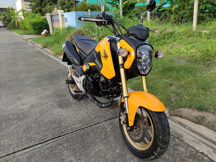 เก็บปลายทาง Honda MSX 125cc | ENNXO