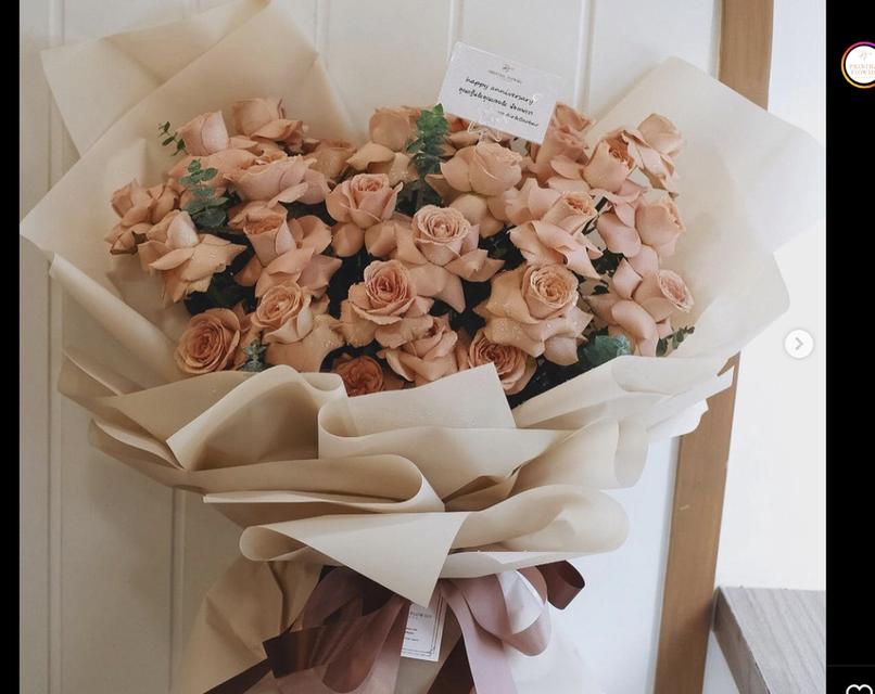 12312311231231 | ENNXO