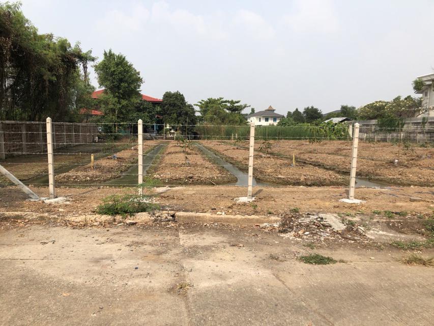 ขายที่ดินเปล่า ใกล้พุทธมณฑลสาย 2 เจ้าของขายเอง | ENNXO