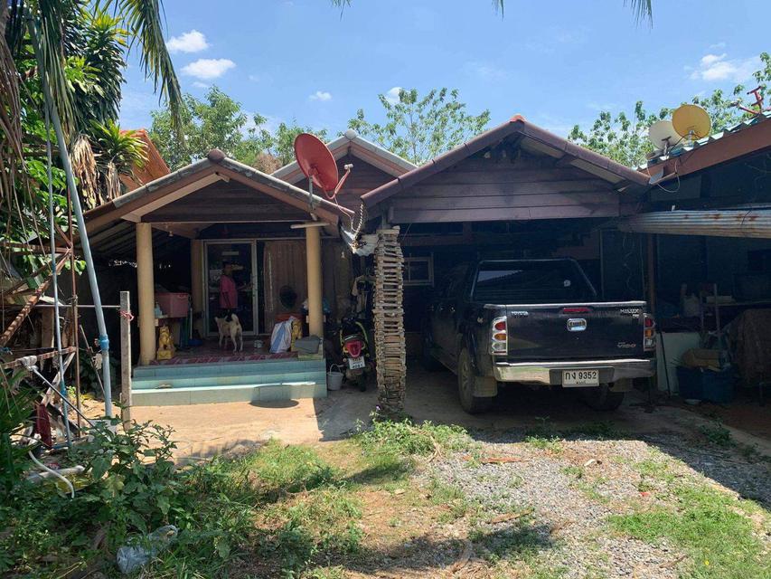 ขายด่วน บ้านพร้อมห้องแถว 9 ห้อง | ENNXO