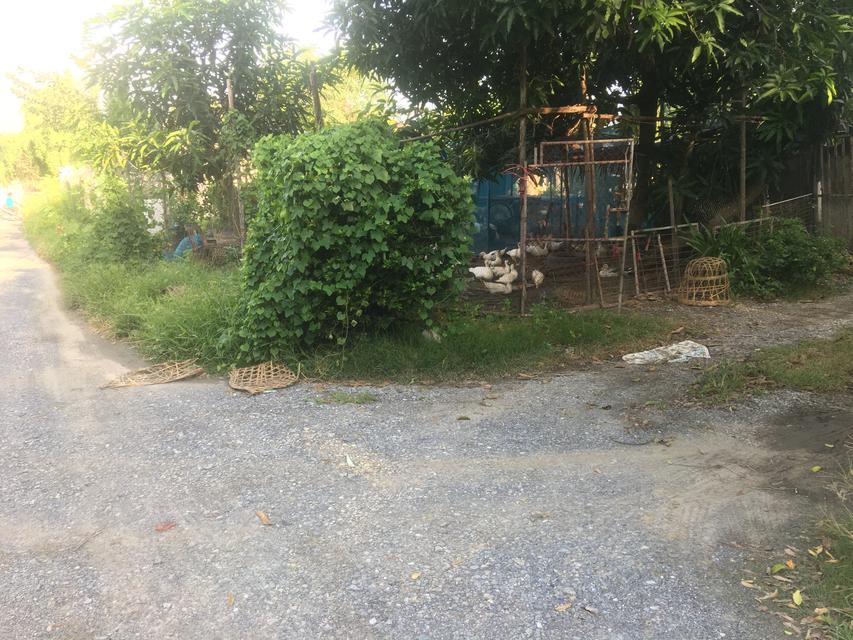 ขายที่ดินเปล่า 249 ตรว ในซอยจรัญ35 ตัดราชพฤกษ์ | ENNXO