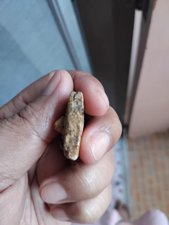 สมเด็จโตหลังร5 | ENNXO