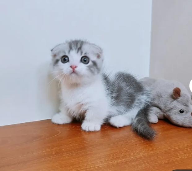 มันช์กิ้น | ENNXO