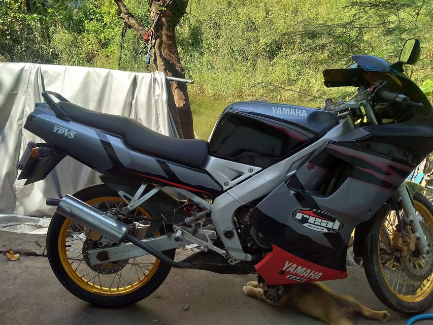 ขายรถ‼️ TZM มีทะเบียนมีเล่มเขียวมีชุดโอน | ENNXO