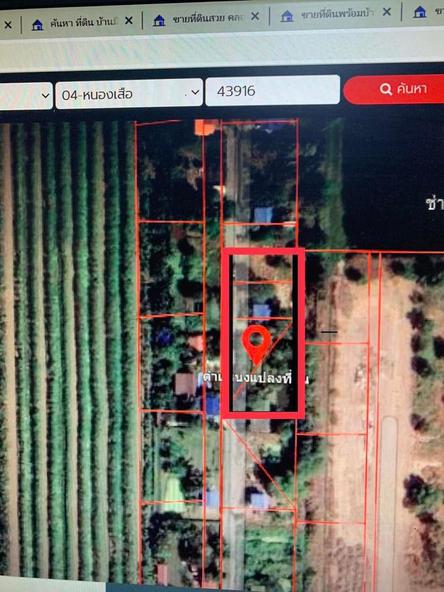 แตงโม | ENNXO