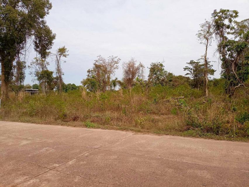 ขาย ที่ดิน แปลงสวย 3 งาน 10 3 ตร วา ในตัวเมืองหนองคาย Ennxo