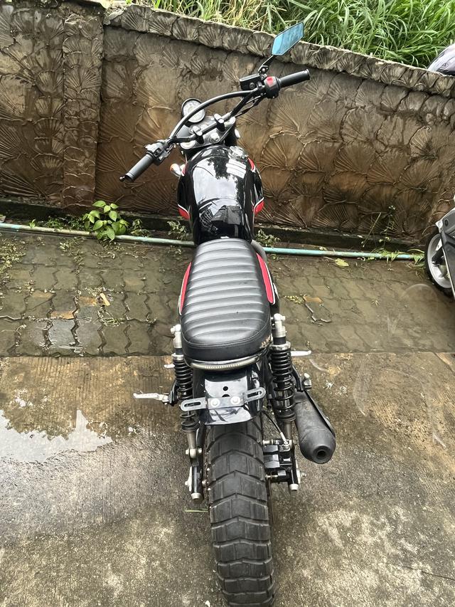 stallion dual tracker 250 | ENNXO