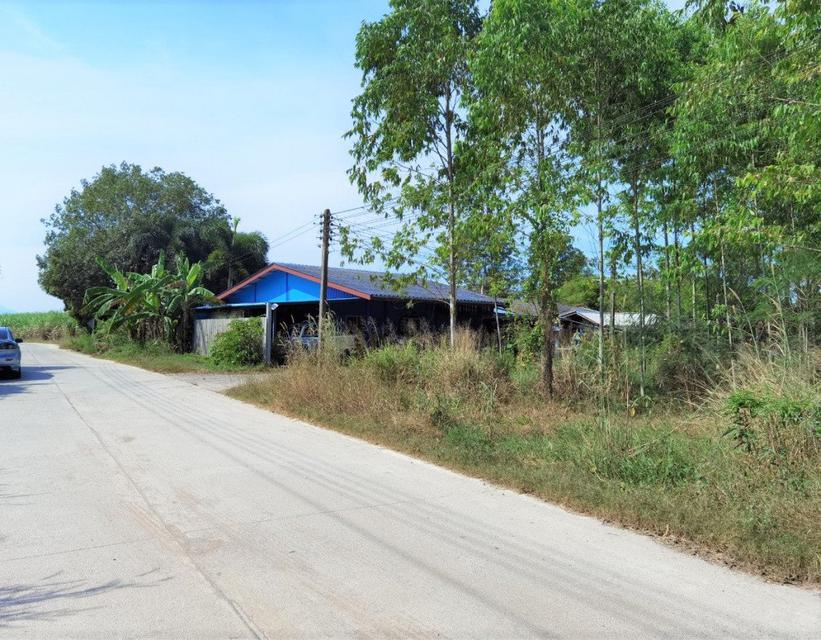 ขาย ที่ดิน ME282 ทำเลดี ไฟ 3 เฟส ปะปา หนองบอนแดง บ้านบึง ชลบุรี . 4 ไร่ ...