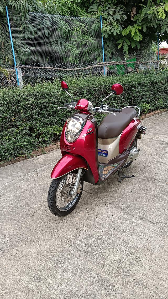 Honda Scoopy-i | ENNXO