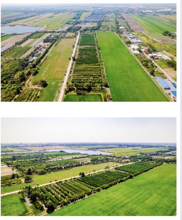 ขายที่ดิน | ENNXO