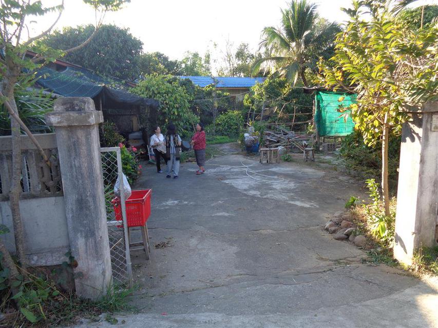 SS124ขายที่ดิน0-1-81ไร่พร้อมบ้านที่เป็นร้านเสริมสวยติดทางสาธ | ENNXO