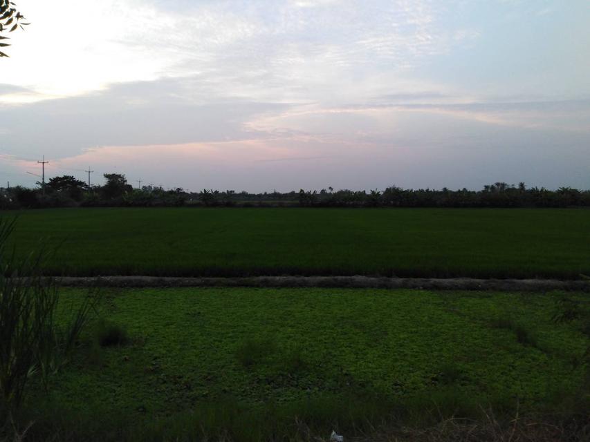 บ้านเช่าเบอร์ติดต่อ 0960966394 | ENNXO