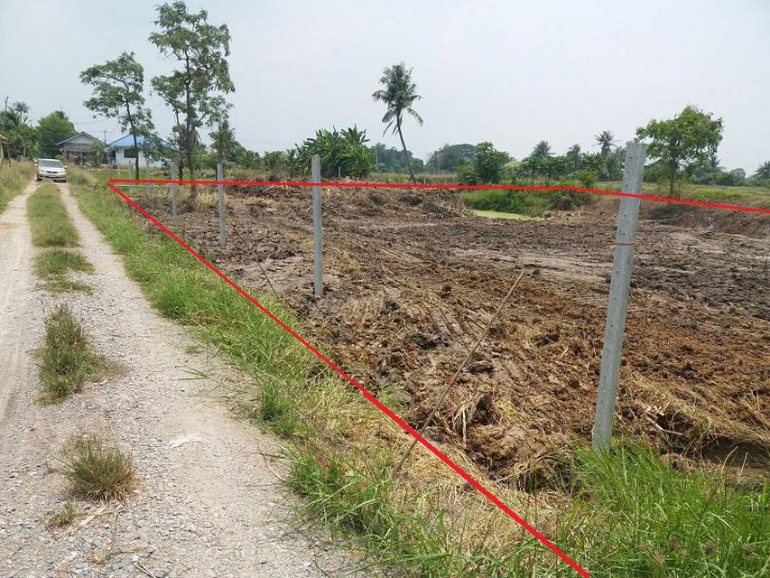 ขายที่ดินแบ่งขาย 50 ตรว.ละ 7000 | ENNXO