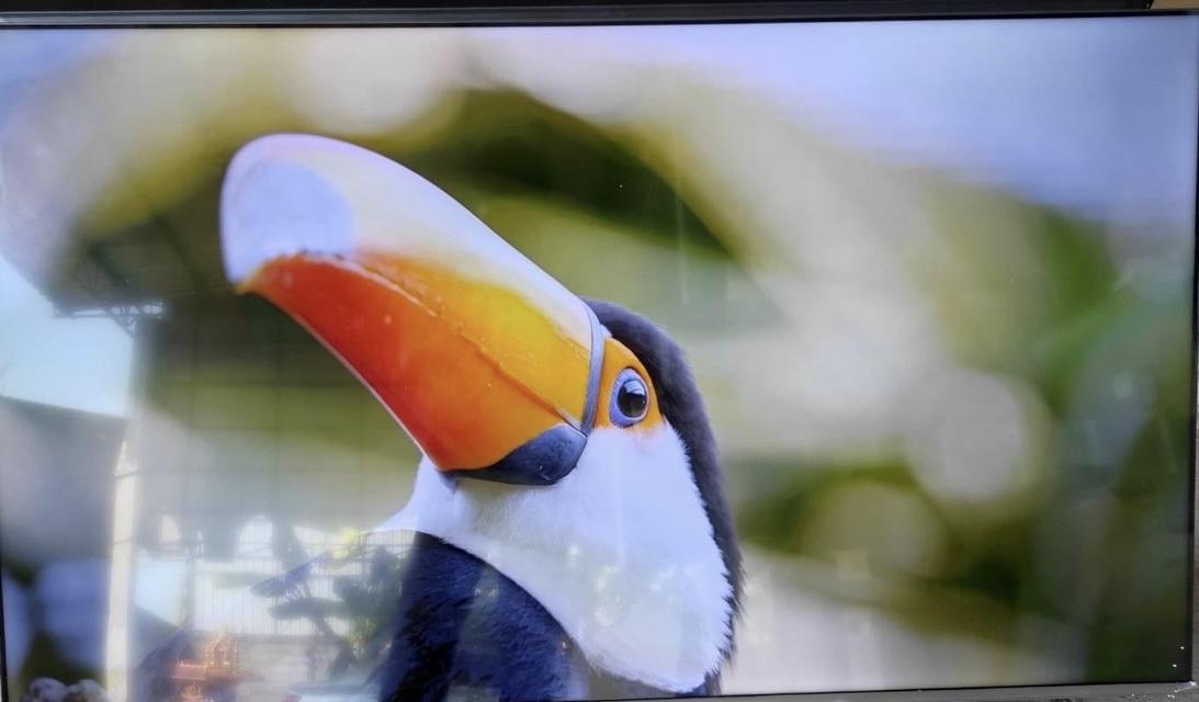 TV 65 นิ้ว | ENNXO